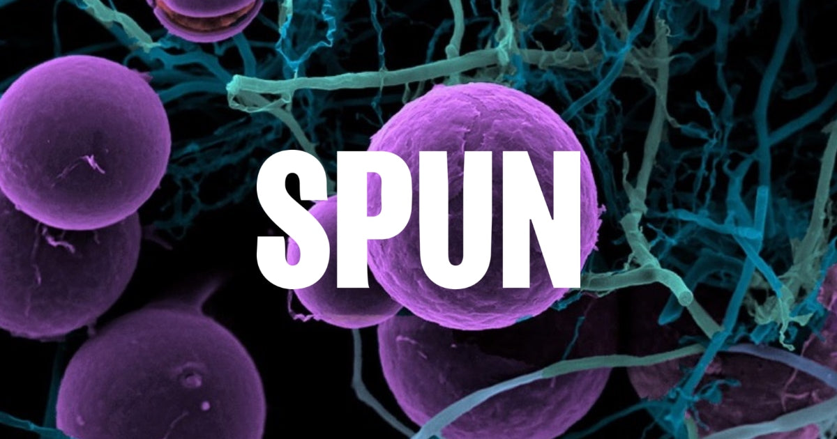 SPUN receives $3 million grant from Schmidt Family Foundation to map ...