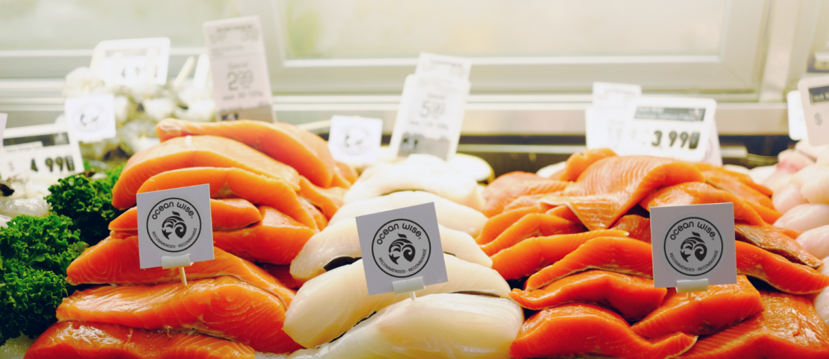 Dozens of businesses are teaming up with Ocean Wise to help end ...