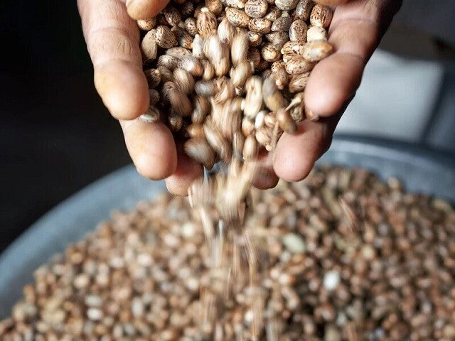 Major Biomethane supply agreement signed with ENGIE to reduce our Group ...