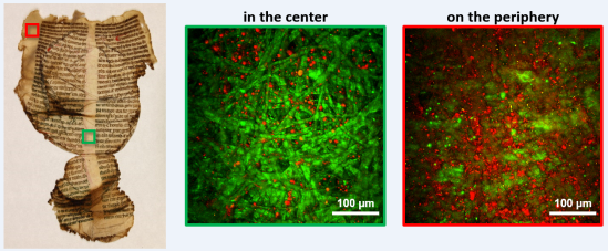 A new non-invasive technique for parchment diagnosis – American ...
